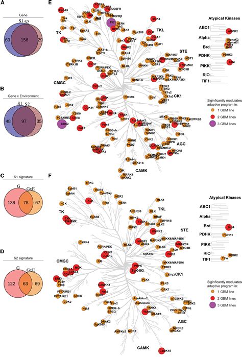 Multiplex Single Cell Chemical Genomics Reveals The Kinase Dependence Of The Response To