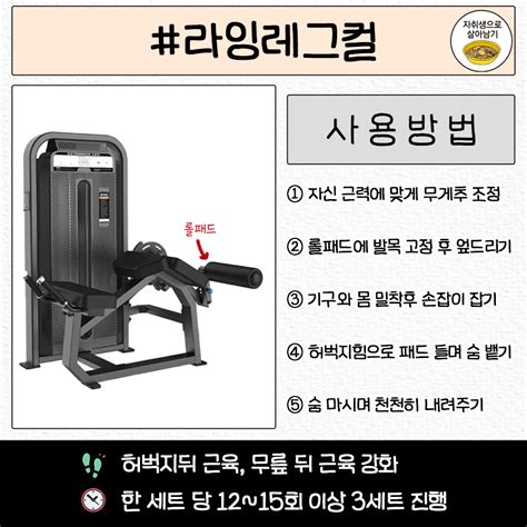 자취생으로 살아남기 ‼헬린이들을 위한 헬스장 기구 사용법 총정리‼ 매번 두리번거리지 말고 당당하게