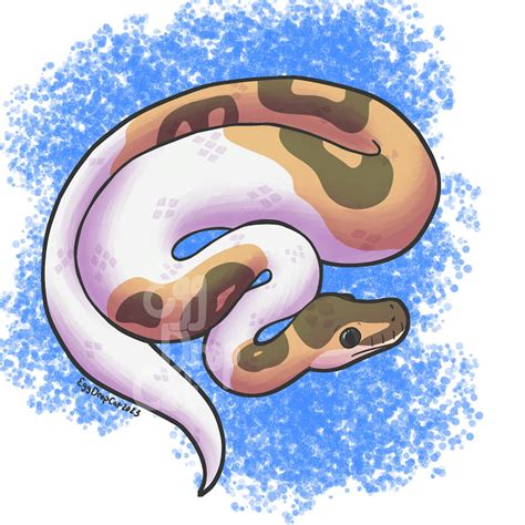 Pie Bald By Eggdropcat On Deviantart Pie Bald By Eggdropcat On Deviantart