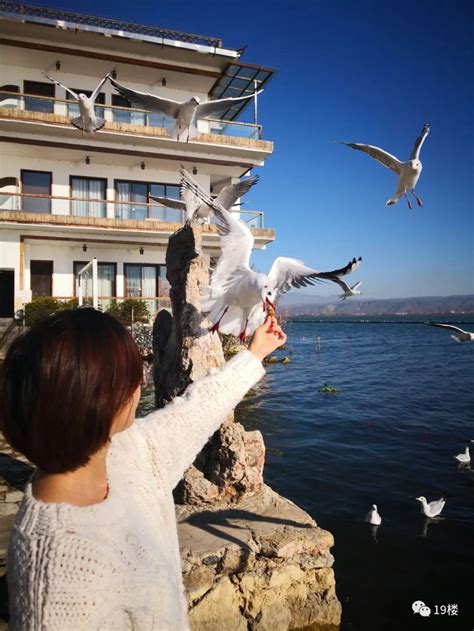 30岁杭州夫妻裸辞带娃自驾环游中国，91天玩遍17省 旅游先遣队 杭州19楼