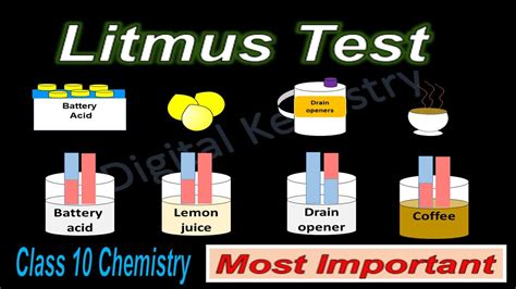 What Is Litmus Test For Acids And Bases Class 10 Chemistry Acids Bases And Salts Litmus
