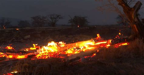 Día Mundial De Prevención De Incendios Forestales ¿cómo Evitarlos