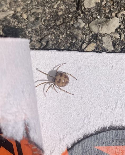 Blobby Boi R Fivenightsatfreddys