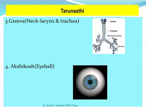Asthi Types Pptx