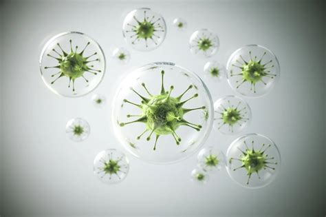 The Role Of Interleukin 6 During Viral Infections
