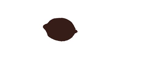 Nosferatu By Noah Cicero Vii