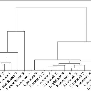 UPGMA Based Dendrogram Showing The Genetic Relationship Among 22 Download Scientific Diagram