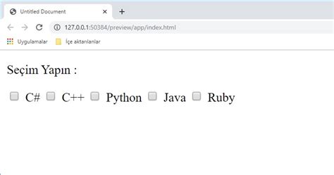 Css Ile Checkbox Biçimlendirme Tasarım Kodlama