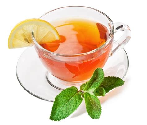 چای فنجانی با نعناع که روی زمینه سفید جدا شده است 1559746