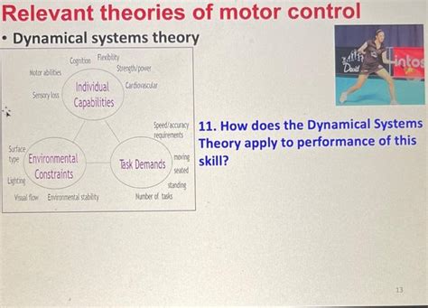 Solved Hintos Relevant Theories Of Motor Control • Dynamical