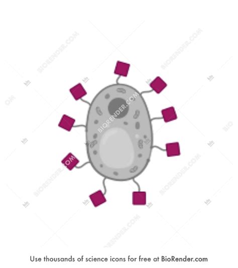 Free Yeast Display Square Icons Symbols And Images Biorender