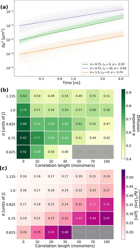Spatial Correlations Drive Long Range Transport And Trapping Of