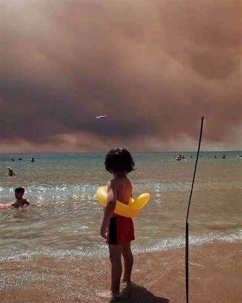 Global Boiling Rtruetruereddit