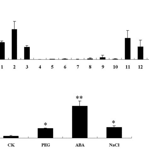 Gene Specific Primer Pairs Used In Rt Pcr Analysis For Gene Expression