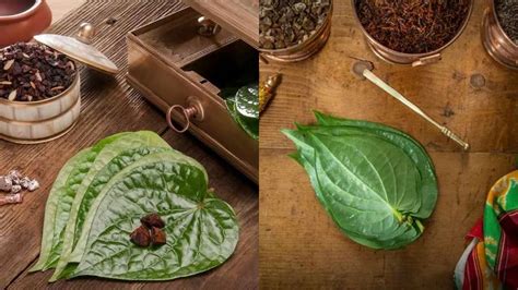 Betel Leaf Can Help Control Uric Acid Know How To Consume It And Other