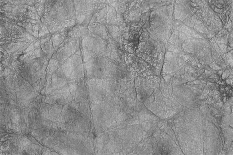 Fondo Gris De La Acuarela En El Papel Ilustraci N Abstracta Elemento Del Dise O Imagen De