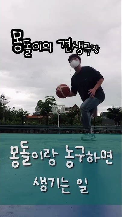 우리 강아지랑 농구하면 생기는 일 농구하는 리트리버 Youtube