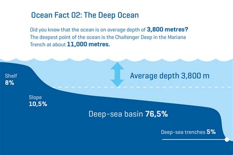 10 Facts About The Ocean
