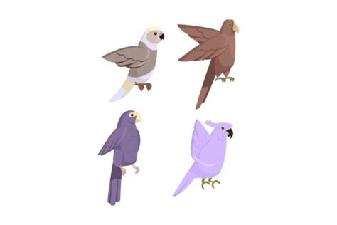 Bird Beauty Graphic By Fortunatagraphic · Creative Fabrica