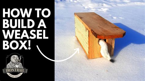 How To Make A Weasel Box Trap At Oscar Nimmo Blog