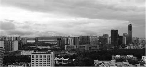 Profiling Rapid Urban Transformation Through Urban Mobility Data In Shenzhen