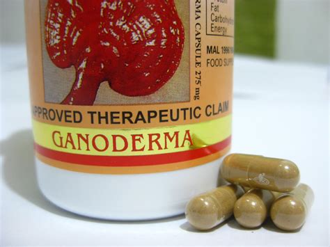 Shop Ganoderma: How Does Ganoderma Work?