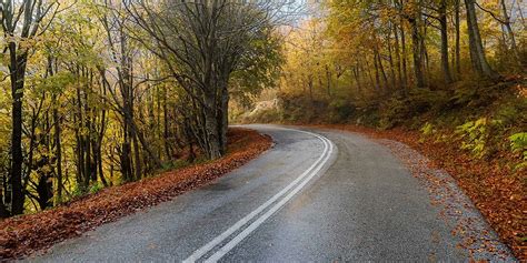 אתר תמונות יפות זהב של סתיו Photo Art