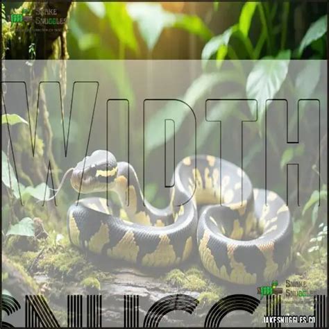 Ball Python Tank Size Pro Secrets For The Perfect Habitat Setup