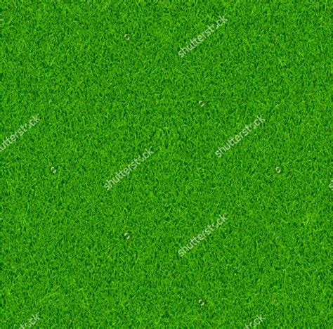 Free 9 Grass Vectors In Vector Eps Svg