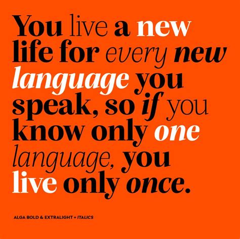 Nova Type Foundry On Linkedin Novatypefoundry Fonts Typography