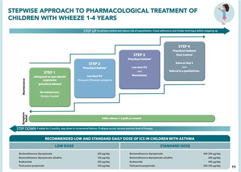 Nz Asthma Guidelines Resources Nz Respiratory Guidelines