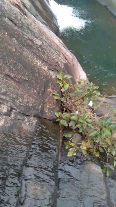 පතුලක් නොමැති පහන්තුඩාව දිය ඇල්ලෙ ඔබ නොදත් කතාව Youtube