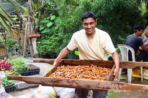 Organic Farm And Sustainable Tourism Volunteer In Ecuador 2025
