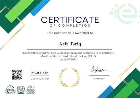 Teach You Penetration Testing And Kali Linux By Jims Aley Fiverr