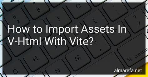 How To Import Assets In V Html With Vite In 2024