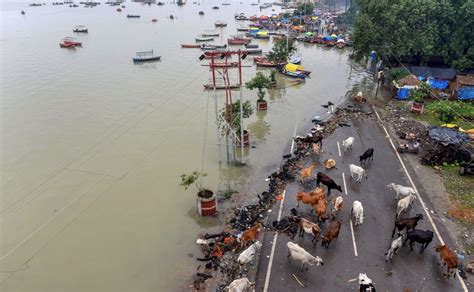 Toll Due To Rains In North India Rises To 42 As Floods Continue To