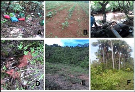 A Vasilhames de defensivos agrícolas abandonados em local próximo ao