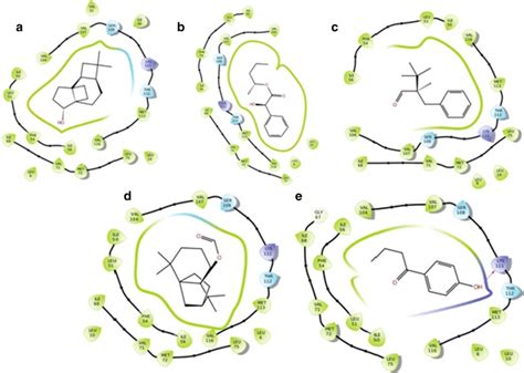 Two Dimensional Interaction Diagram Of Ligands With Odorant Binding