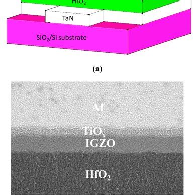 A Schematic TFT Structure And B Cross Sectional View Of TEM Image For Download Scientific