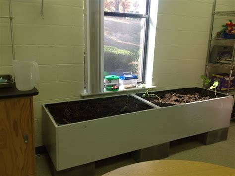 Classroom Garden Ideas At Robert Mulkey Blog