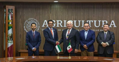 San Luis Río Colorado primer lugar nacional en producción de dátil Noro