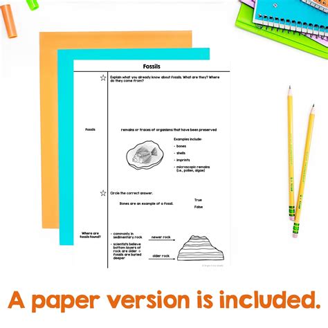 fossils lesson interactive