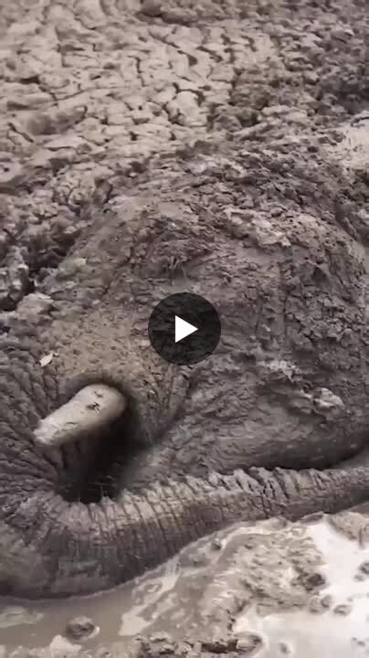 Compassion Savinglife Kindness Leadership Mindfulness Motivation Mudasir Abbas