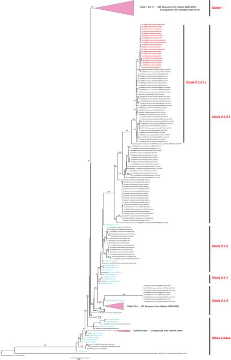Maximum Likelihood Phylogenetic Tree Of Influenza A Subtype H5 Ha