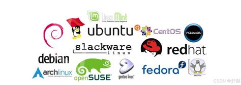 【linux】linux常见指令以及权限理解（上） Csdn博客