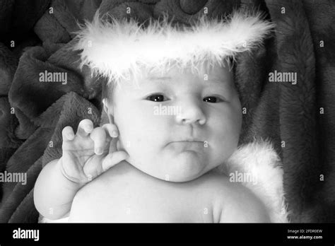 Babies Dress Black And White Stock Photos Images Alamy