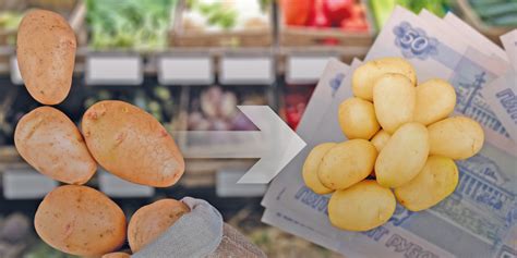 Цены выросли до справедливых Новости и события отрасли овощеводства и картофелеводства Дзен