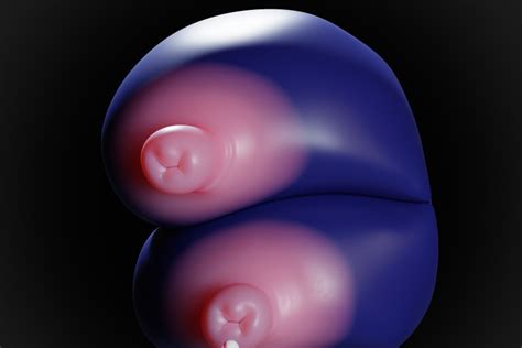 Rule 34 2021 3 2 3d 3d Artwork Alicorn Anthro Big Breasts Black