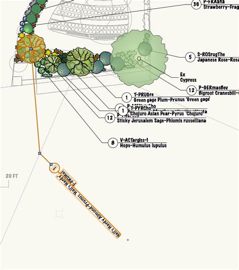 Plant Tag Misbehaving In Rotated Plan View Site Design Vectorworks Community Board