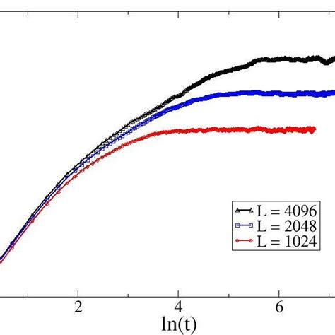 log log plot of the surface roughness versus time for different lattice